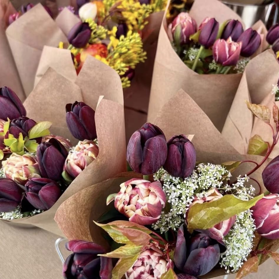 Top 25 Things to Do | Kelowna.com